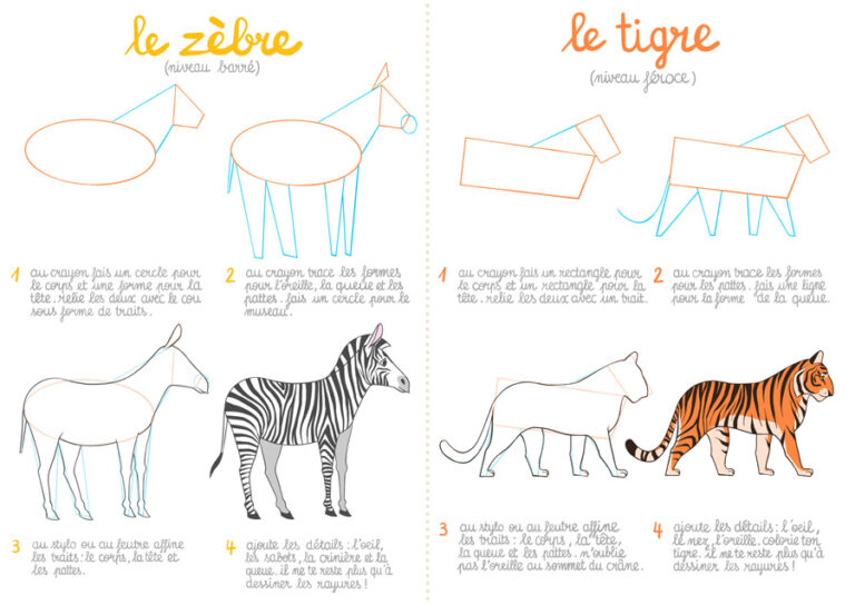 Apprendre à dessiner des animauxTutoriels – Anna Lubinski